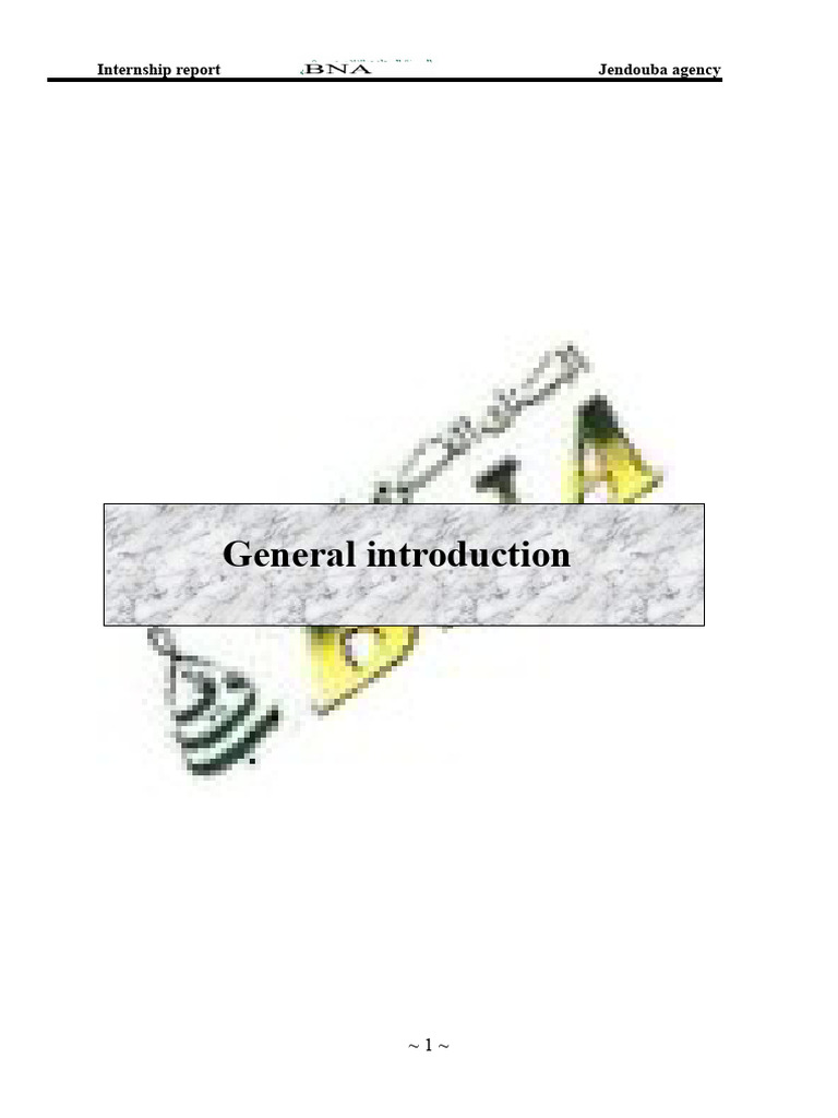 Internship Report on BNA's Modernization | PDF | Cheque | Credit Card