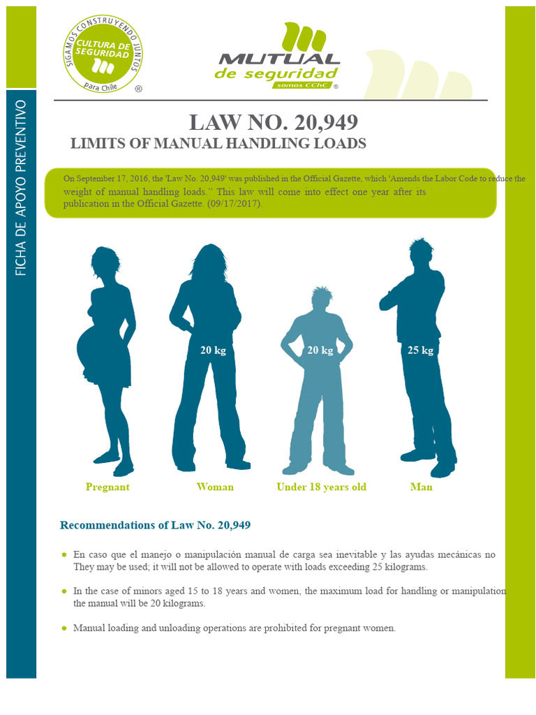FAP Manual handling load limit, Law No. 20.949 | PDF