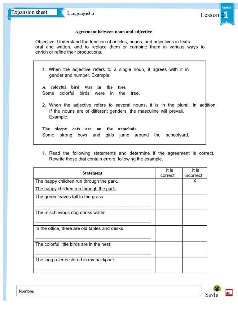 Noun-Adjective Agreement Guide | PDF | Grammatical Gender | Noun