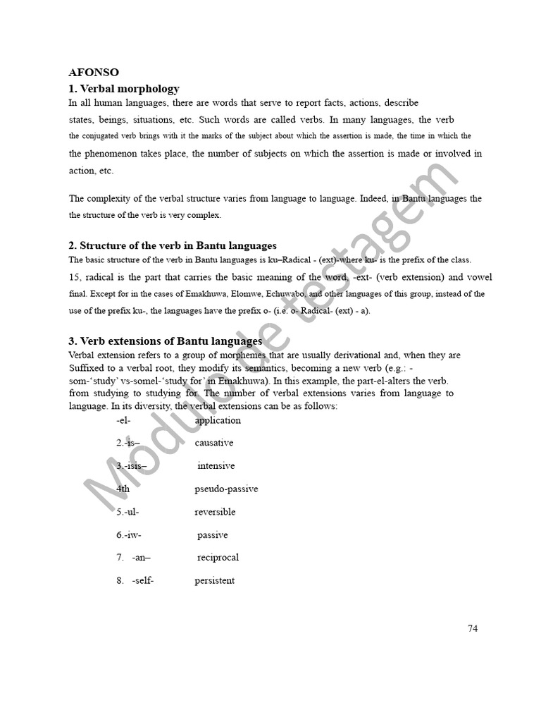 Mozambican Languages Work | PDF | Grammatical Number | Grammatical Tense