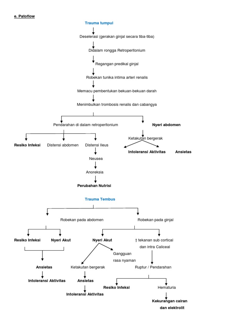 Patoflow Trauma Ginjal (Tumpul Tembus) | PDF