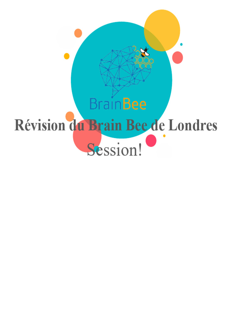 Compétition Brain Bee Londres 2023 | PDF | Système nerveux | Cerveau