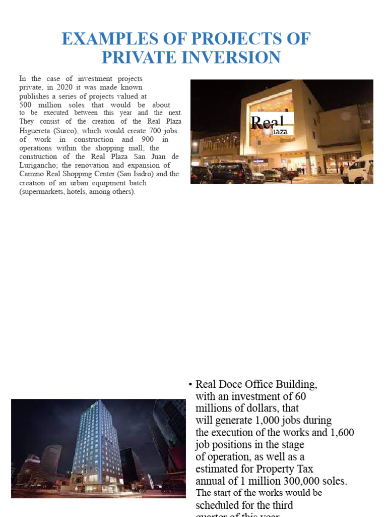 Examples of Private Investment Projects | PDF