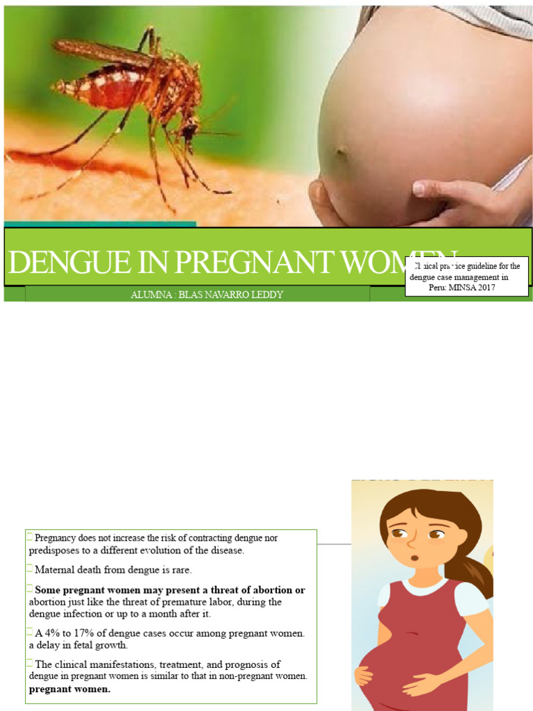 Dengue in Pregnant Women Summary | PDF | Pregnancy | Shock (Circulatory)