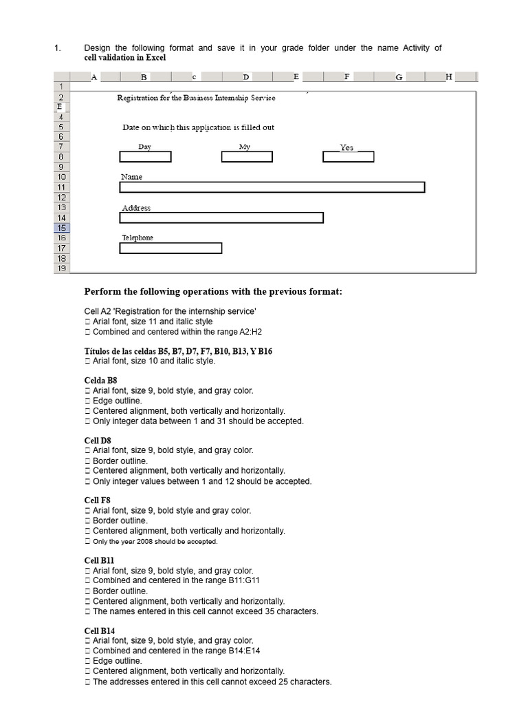 Excel Cell Validation Activity Guide | PDF