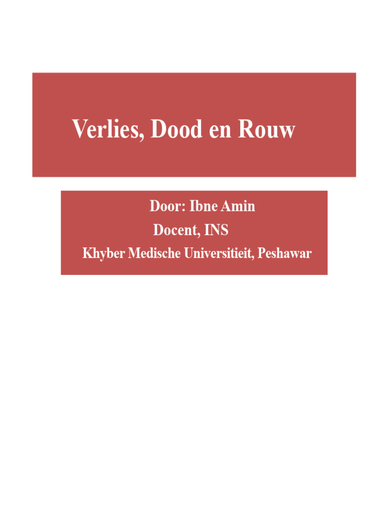 Verlies, Dood en Rouw.pptx 222222-1 | PDF