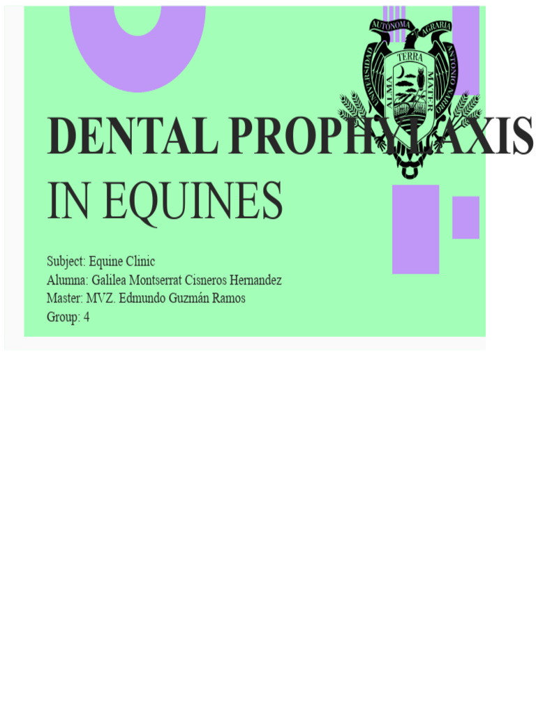 Dental Prophylaxis in Horses | PDF | Human Tooth | Tooth