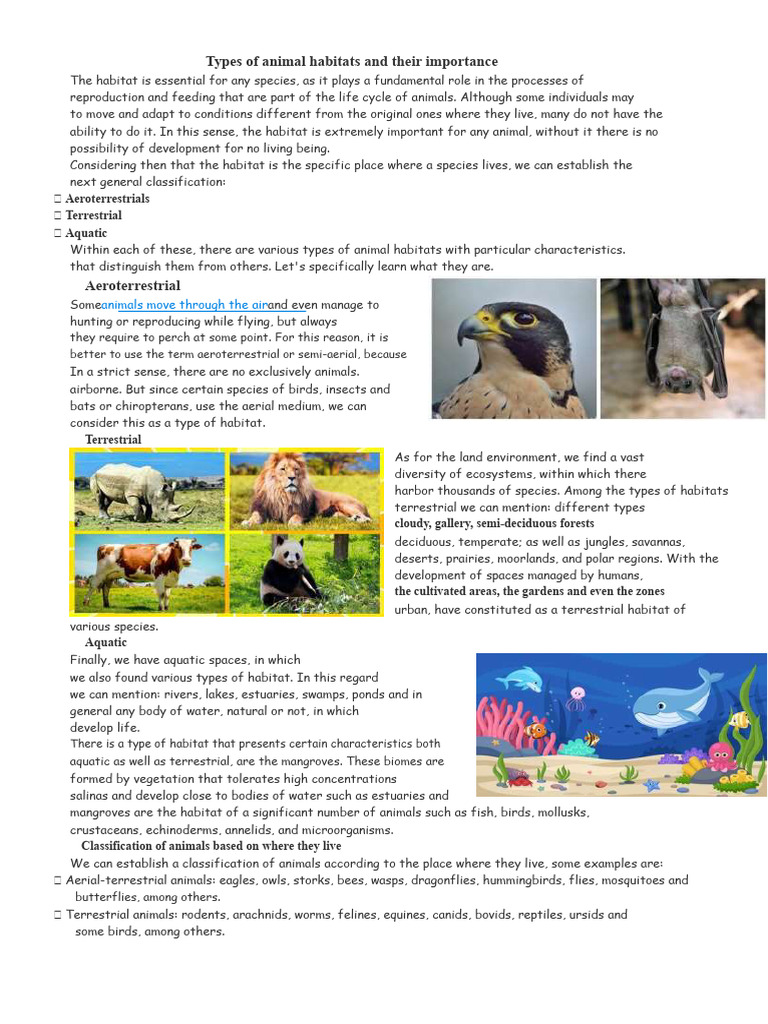 Animal Habitats: Types and Importance | PDF | Habitat | Bat