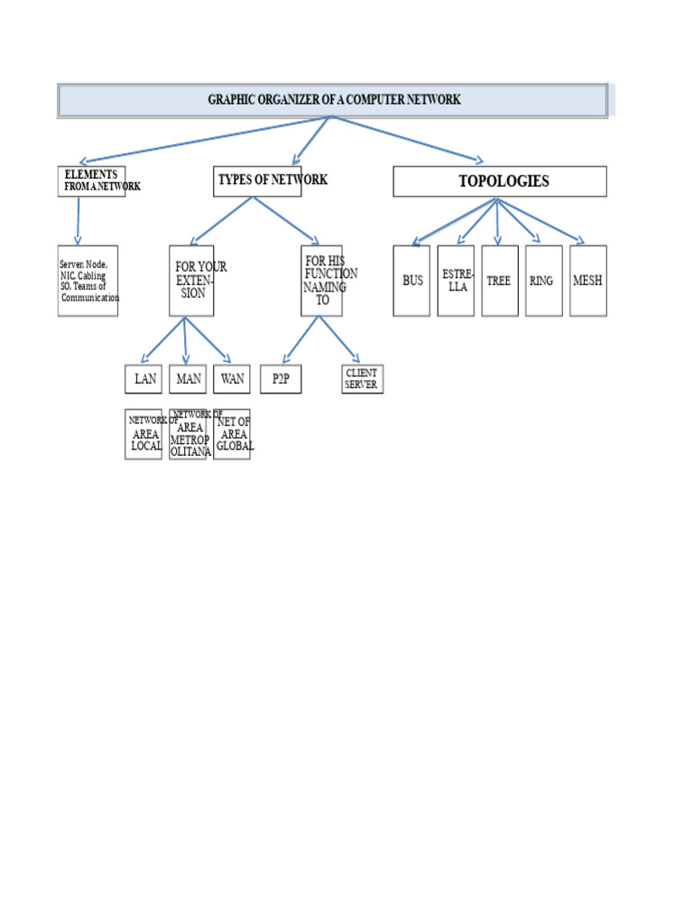 Graphic Organizer Network | PDF