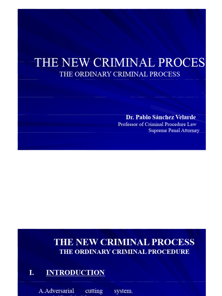 Overview of the New Criminal Process | PDF | Prosecutor | Criminal ...
