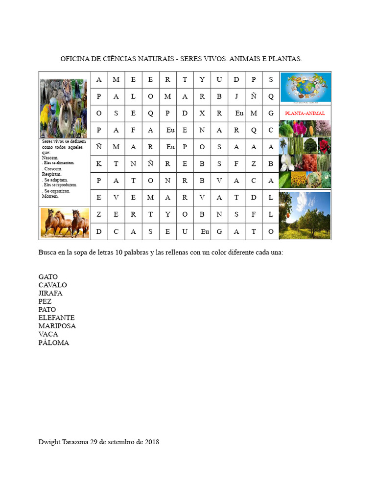 Sopa de Letras Animais e Plantas | PDF | Zoologia | Organismos