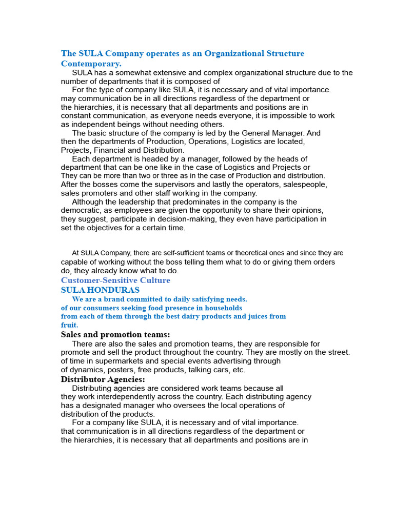 SULA Company: Organizational Structure Overview | PDF | Economies ...