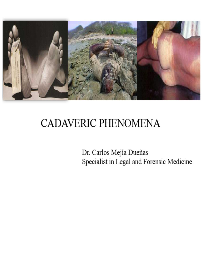 3.2-POST-MORTEM PHENOMENA | PDF | Mummy | Burial