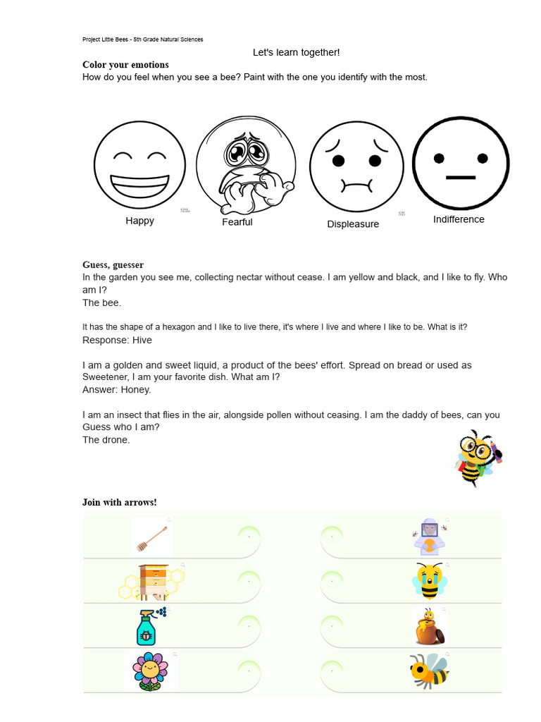 Practical activities | PDF | Bees | Honey