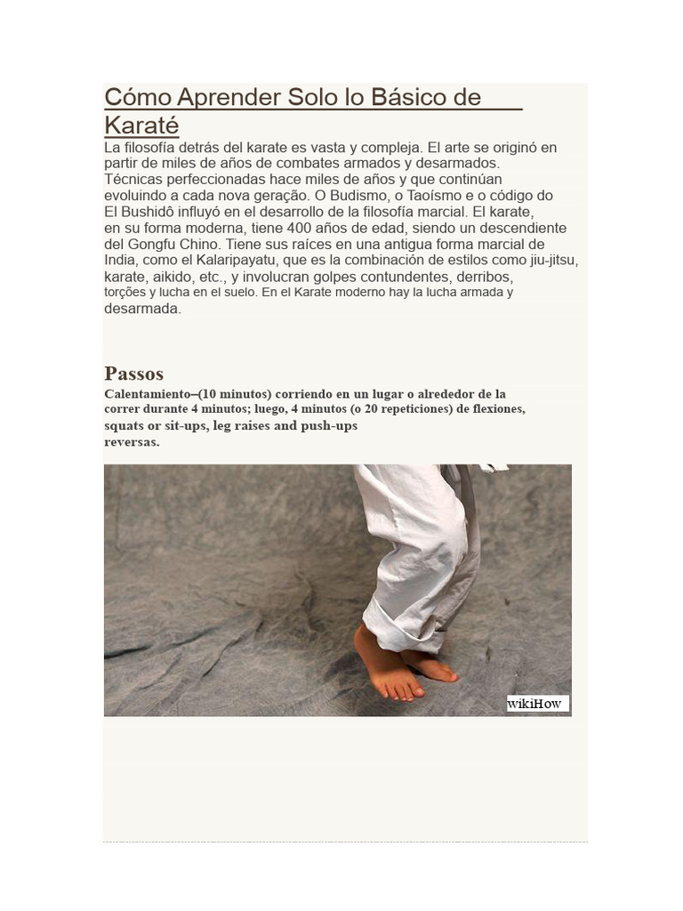 Cómo Aprender Solo lo Básico del Karate.docx | PDF | Kárate | Kata