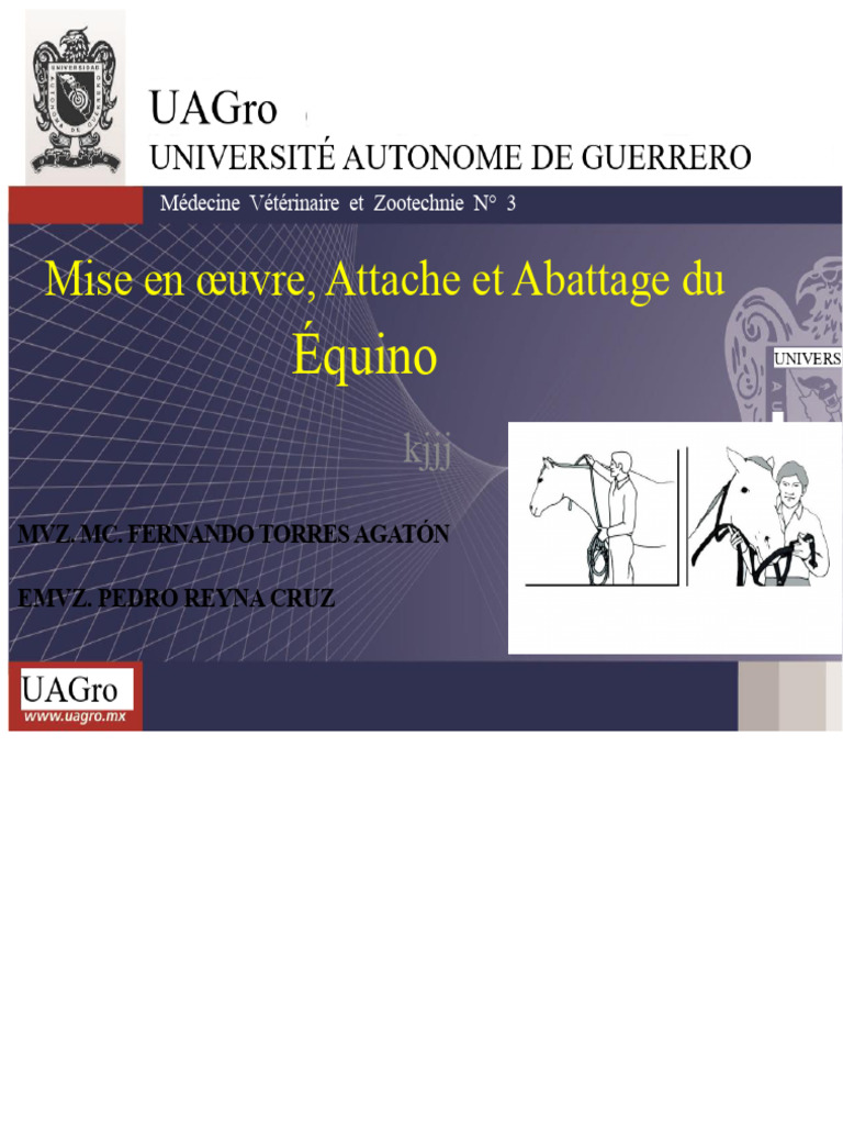 Techniques de Sujétion Équine en Vétérinaire | PDF | Chevaux | Equus ...
