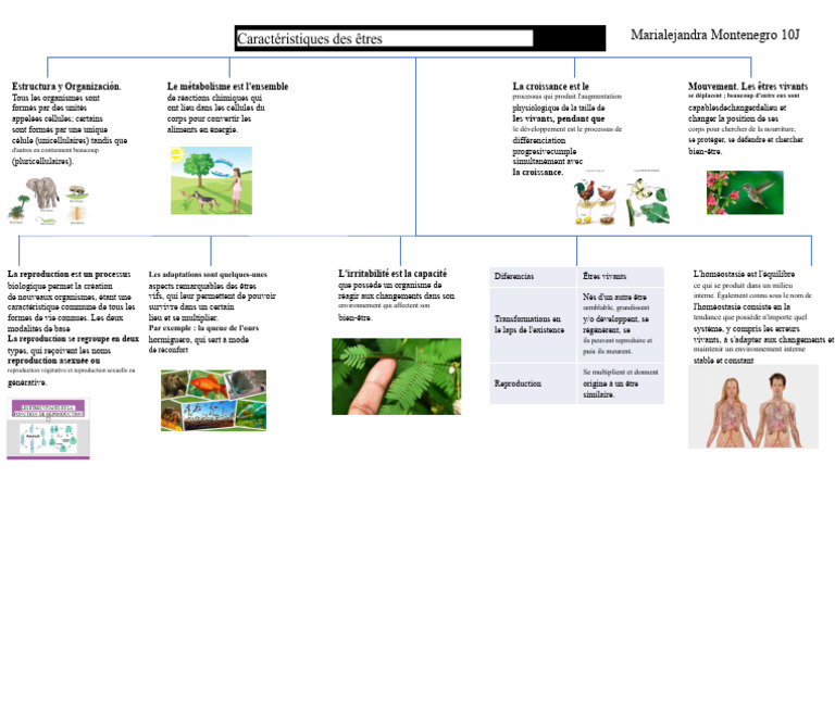 Carte Conceptuelle Des Caractéristiques Des Êtres Vivants | PDF ...
