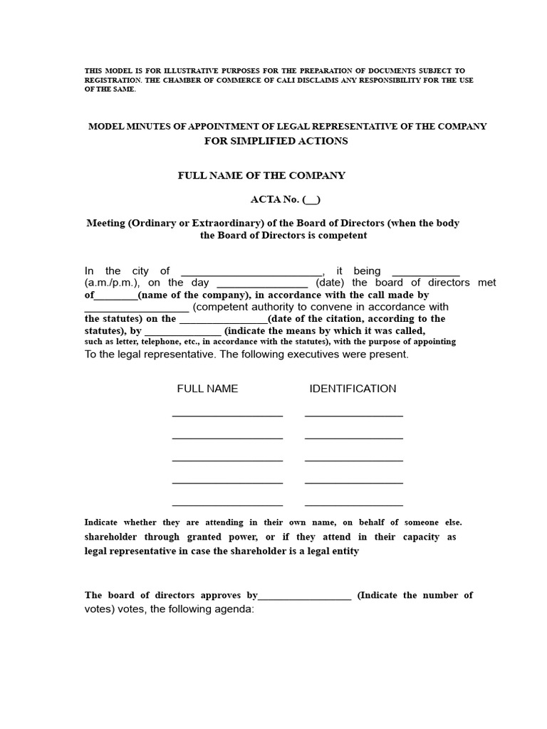 APPOINTMENT - LEGAL REPRESENTATIVE.pdf | PDF | Board Of Directors | Justice