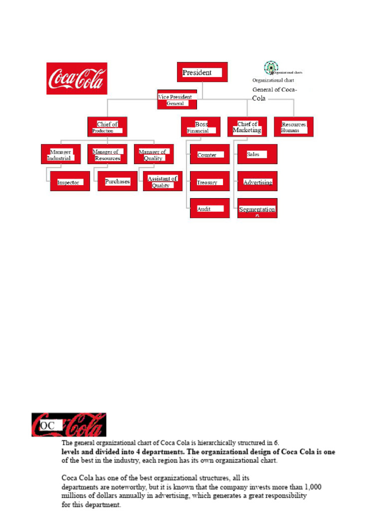 Coca-Cola Organizational Structure Overview | PDF | Hierarchy | Coca Cola