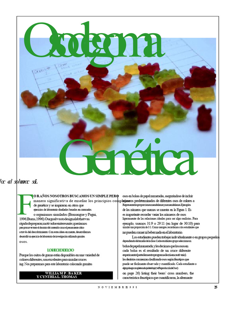 Genética de los Ositos de Goma | PDF | Fenotipo | Alelo