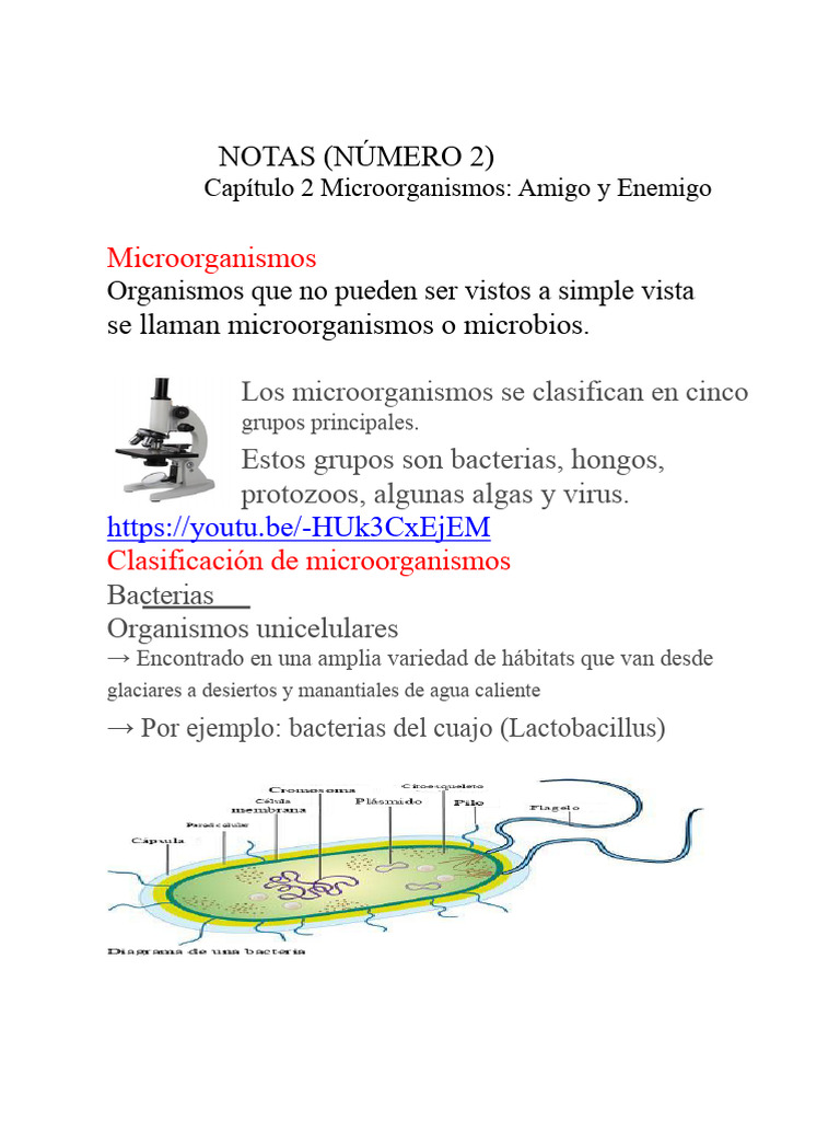 Notas del Capítulo 2 Microorganismos 20 21 | PDF | Microorganismo | Las bacterias