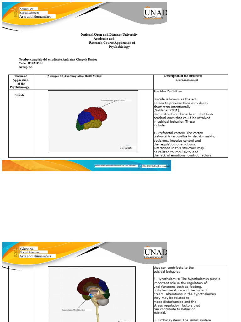 Annex 1 - Matrix 2 Individual of Biotk applications SUICIDE | PDF ...