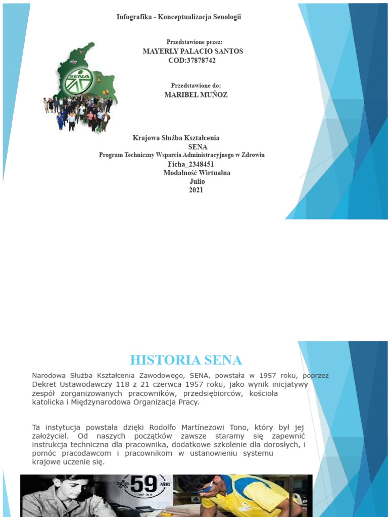 AA1 EV01. Infografika - Konceptualizacja Senalogii | PDF