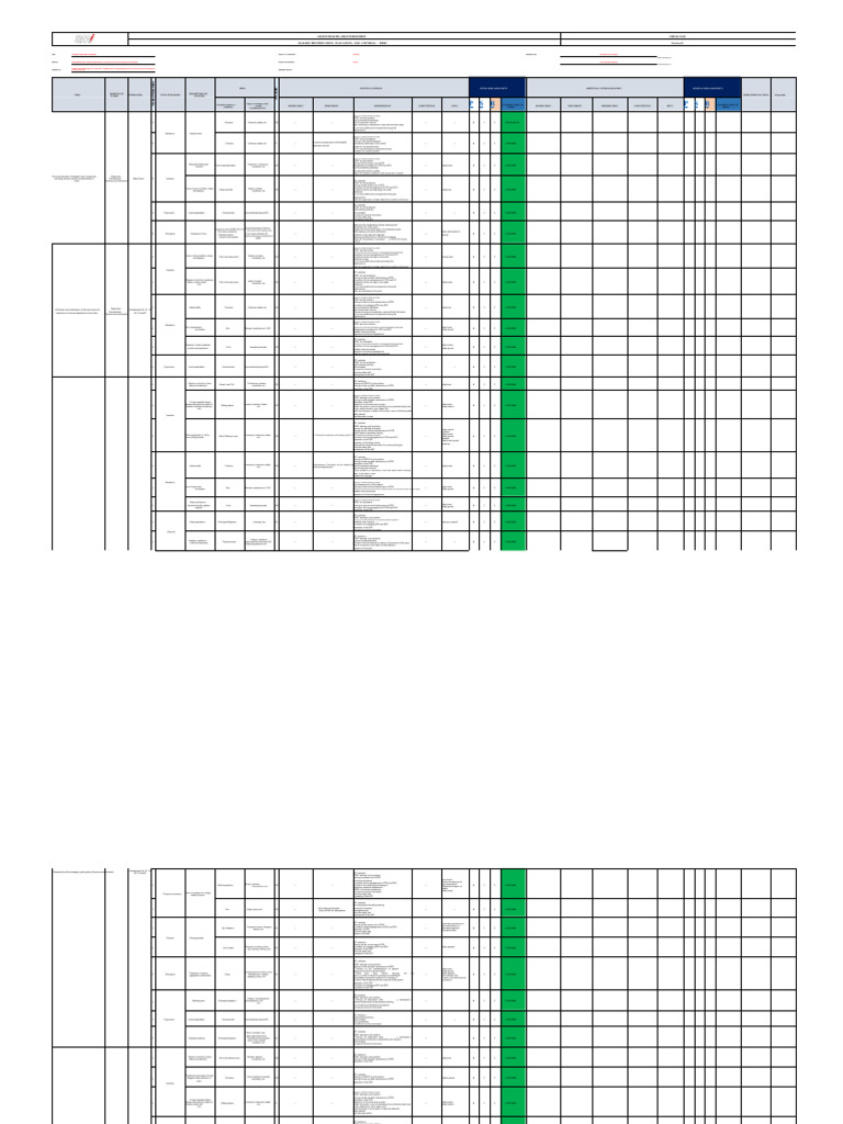 SMI-SS-T-021 Hazard Identification and Risk Assessment Matrix v.03 ...