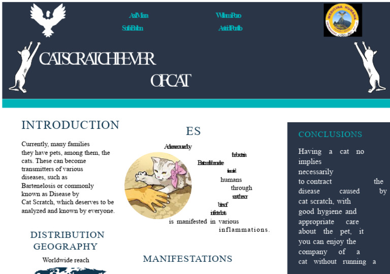 Understanding Cat Scratch Fever Risks | PDF