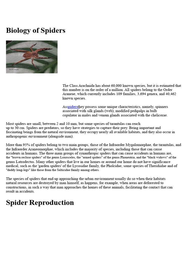 Biology of Spiders | PDF | Spider | Predation