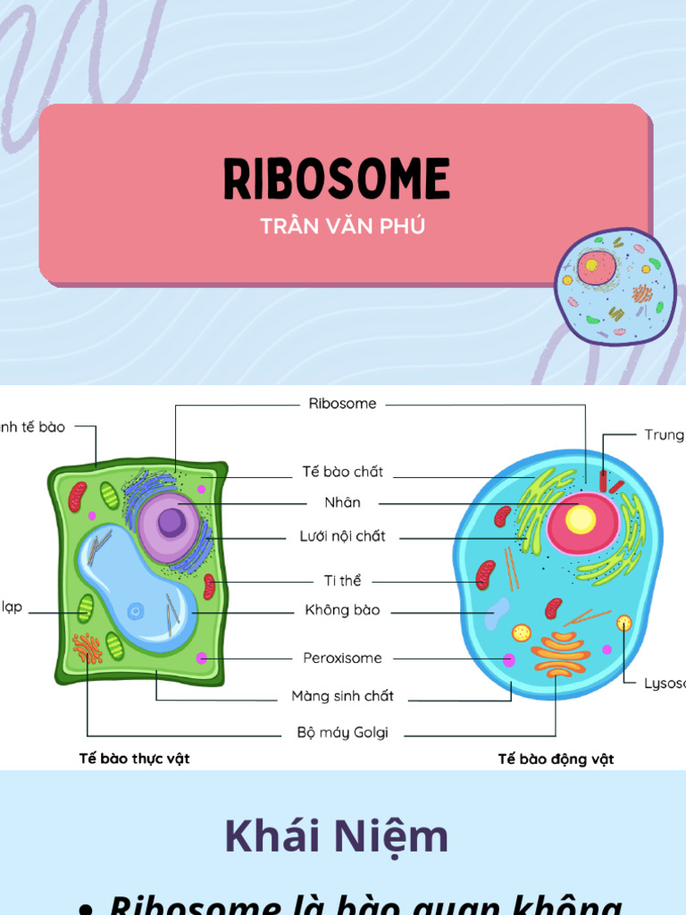 Cell Organelles & Structures Lesson Presentation in Blue and Pink Hand ...