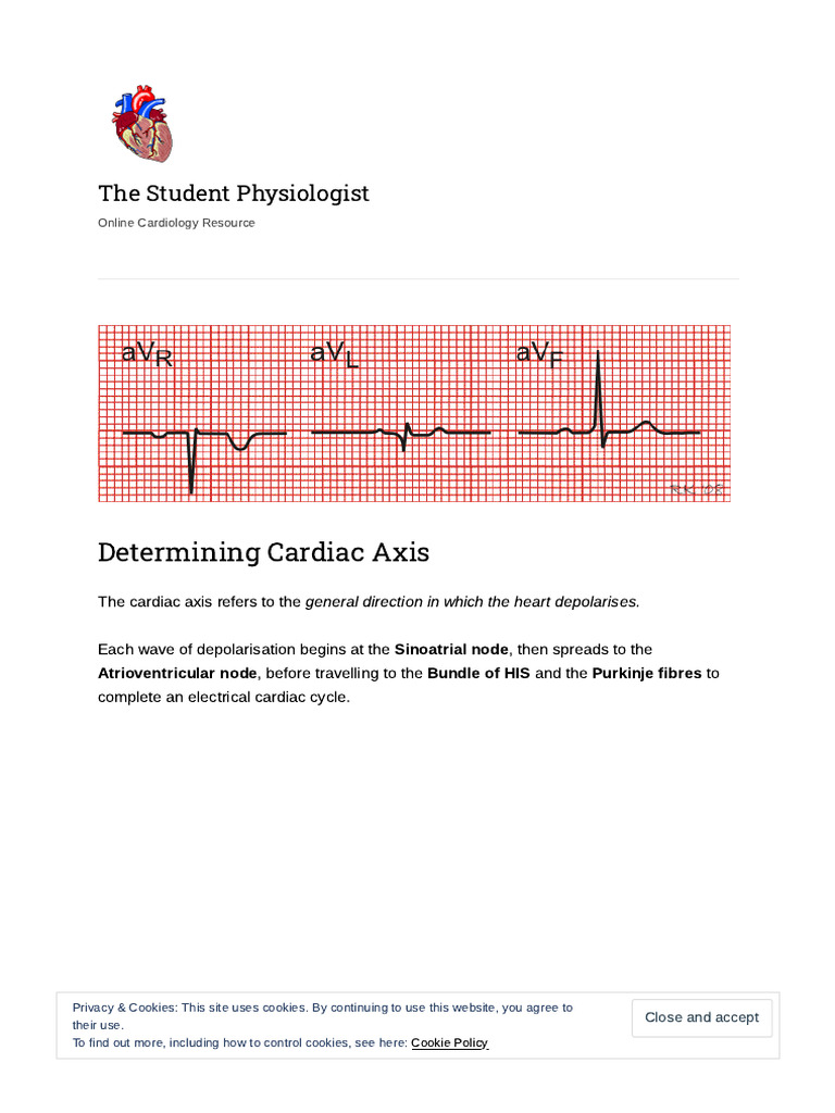 Determining Cardiac Axis – the Student Physiologist | PDF ...