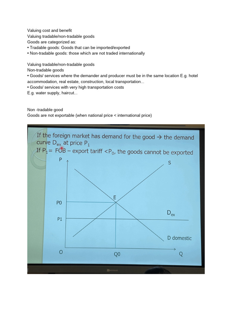 Valuing Tradable and Non-Tradable Goods | PDF