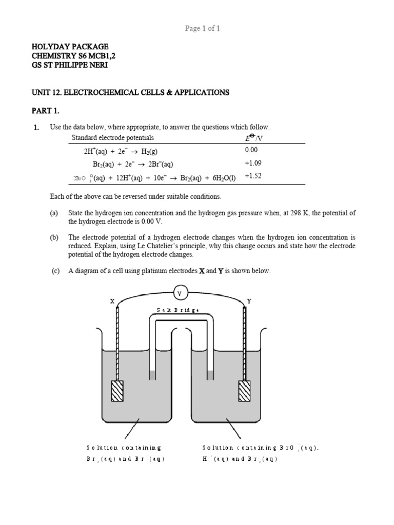 Electrochemical Cells and Reactions Guide | PDF | Physical Chemistry ...