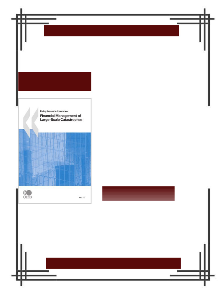 Policy Issues in Insurance Financial Management of Large Scale ...