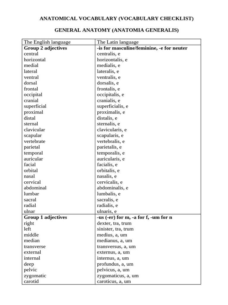Anatomical Vocabulary 2025 | PDF | Gastrointestinal Tract | Human Anatomy