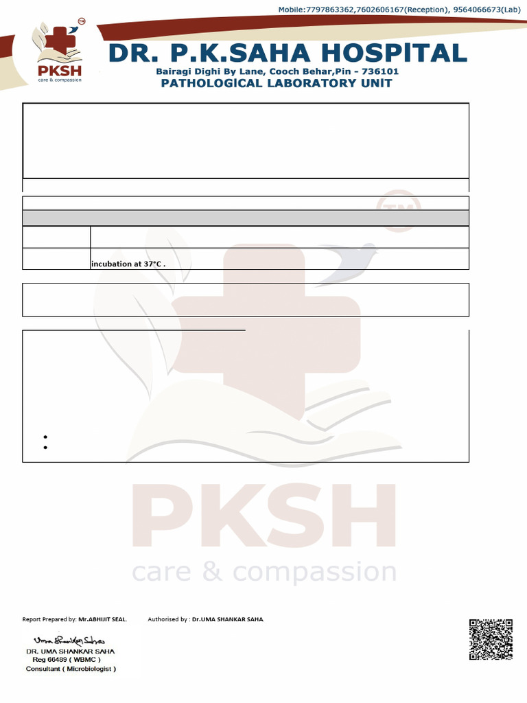 Urine Culture & Sensitivity Report | PDF