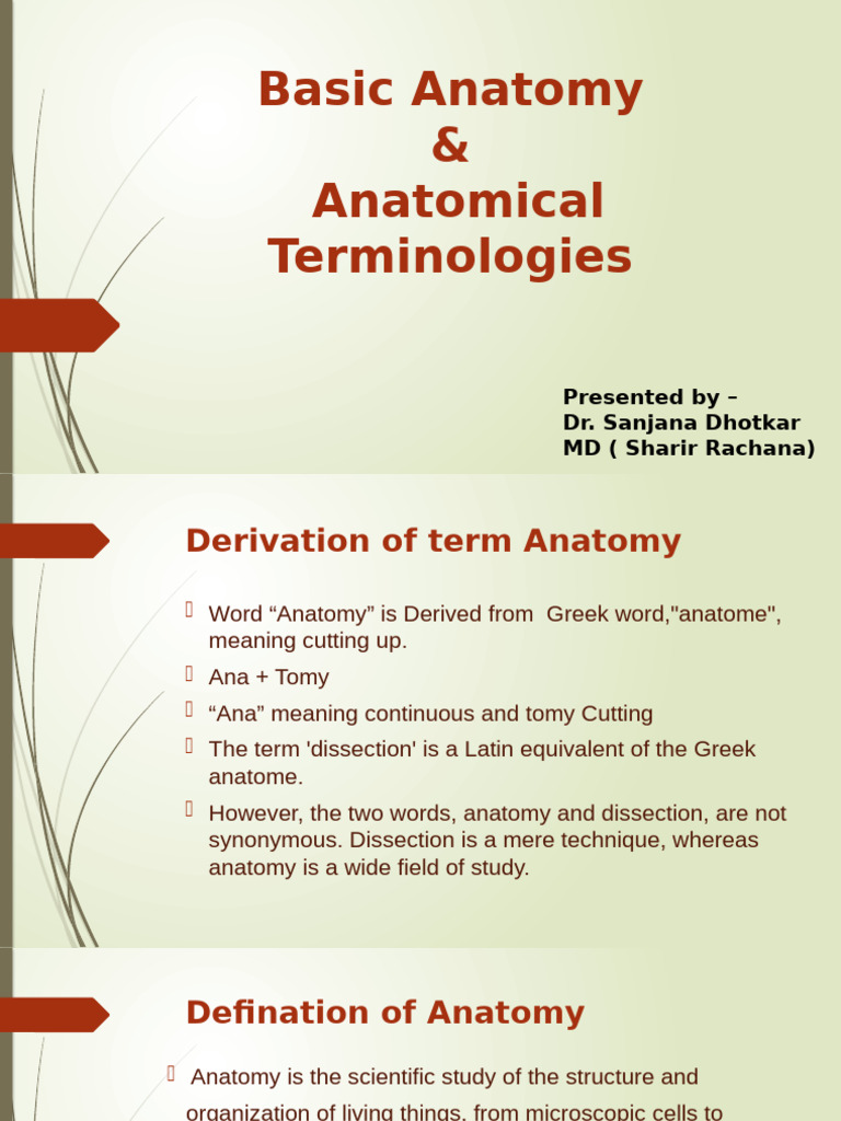 Basic Anatomy and Terminology | PDF | Anatomical Terms Of Motion ...