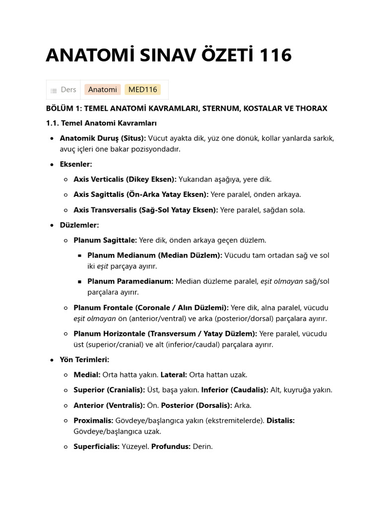 Anatomi̇ Sinav Özeti̇ 116 | PDF
