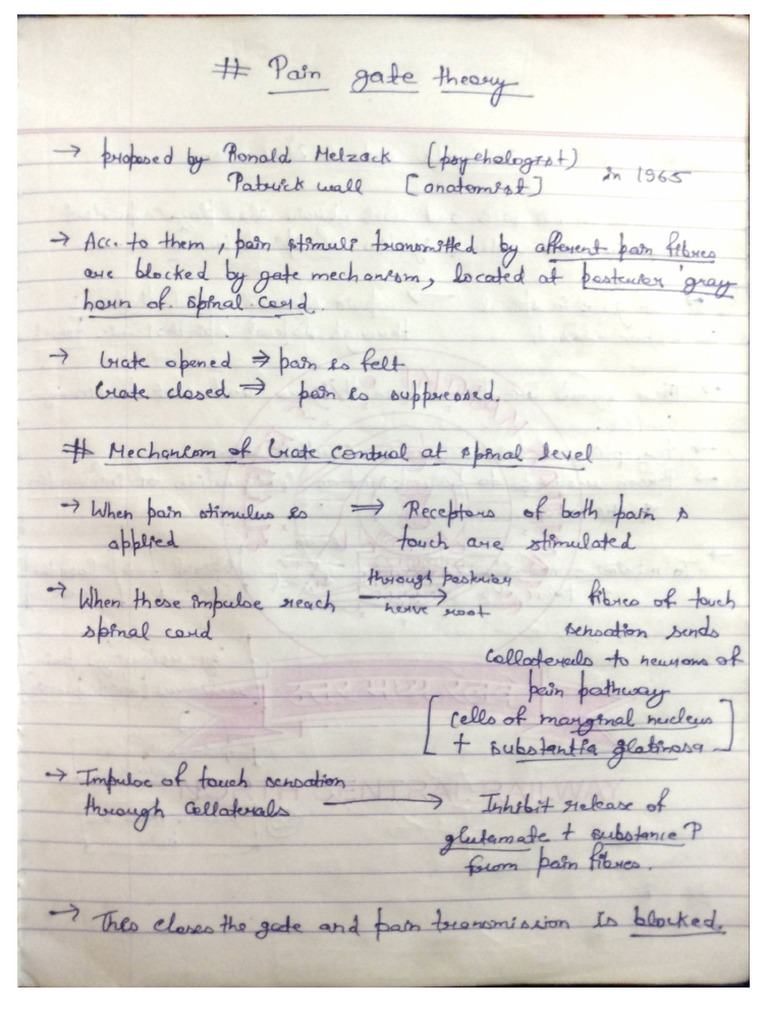 Pain Gate Theory | PDF