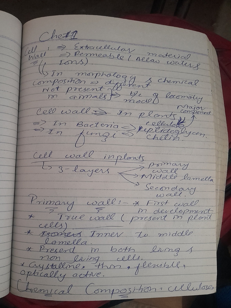 Cell Structure & Functions | PDF