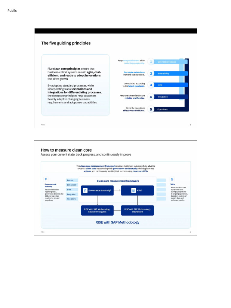 SAP Call | PDF
