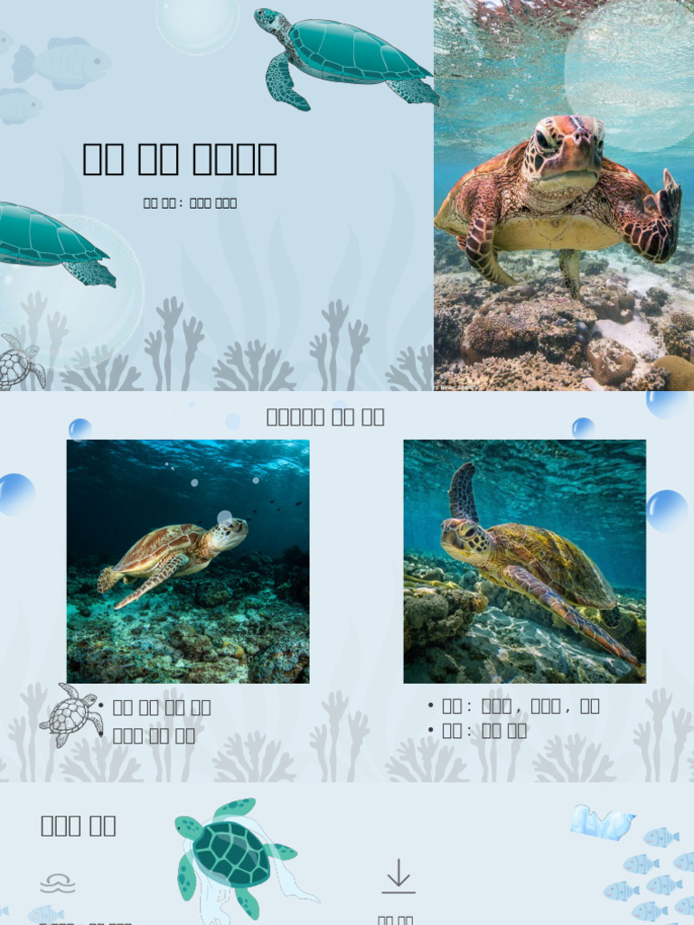 The Silent Struggle Protecting Sea Turtles | PDF