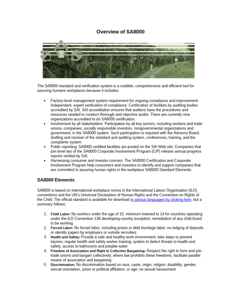 SA 8000 Information | PDF | Audit | Collective Bargaining