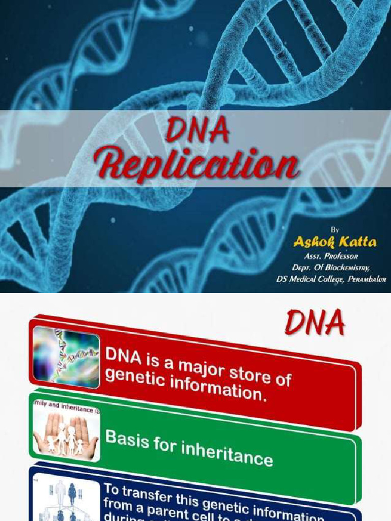 DNA Replication Simple | PDF