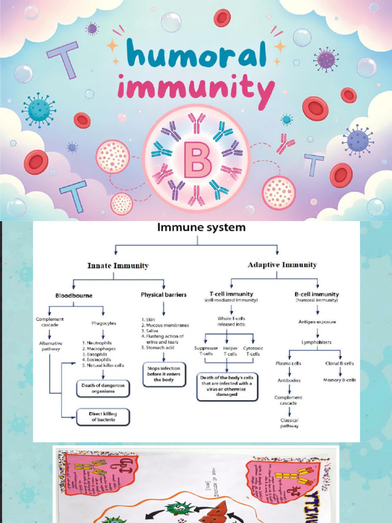Humoral Immunity | PDF | Immune System | Humoral Immunity