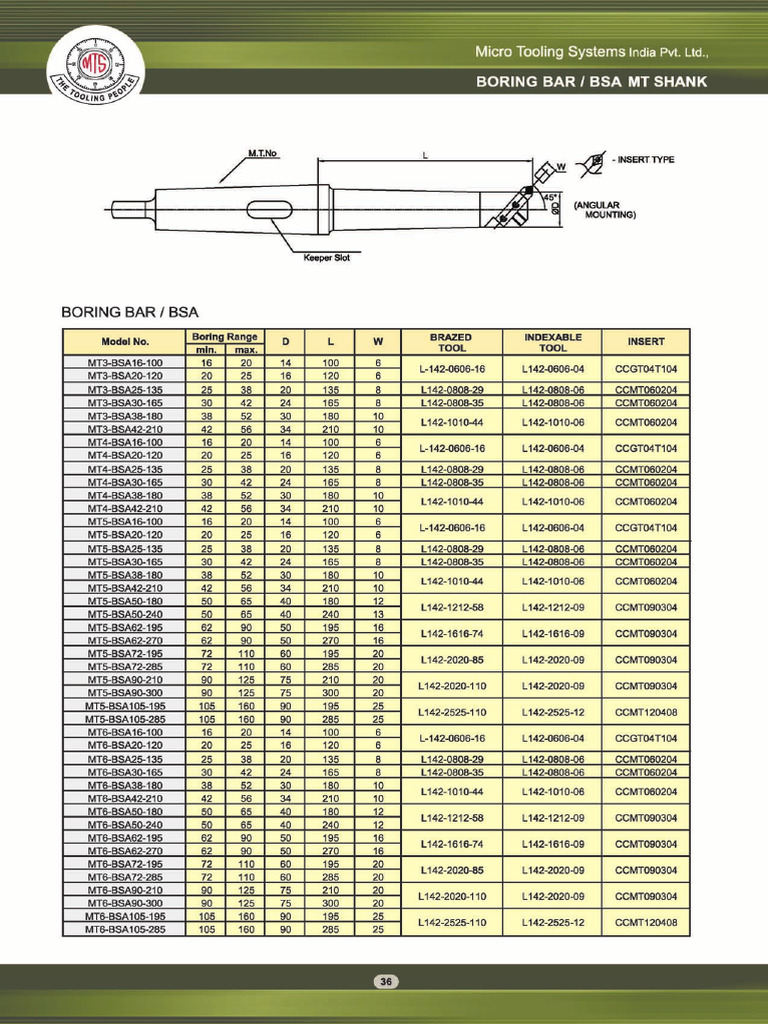 MT BT Shank | PDF