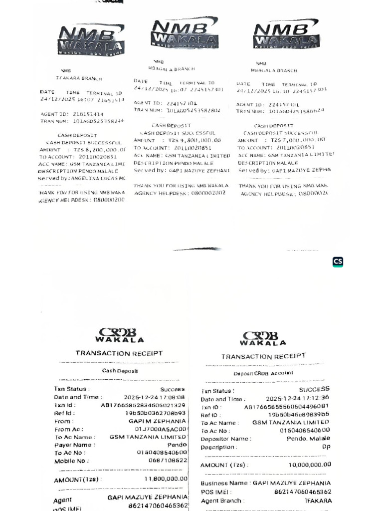 Smart Erase 12-25-2025 08.54 | PDF