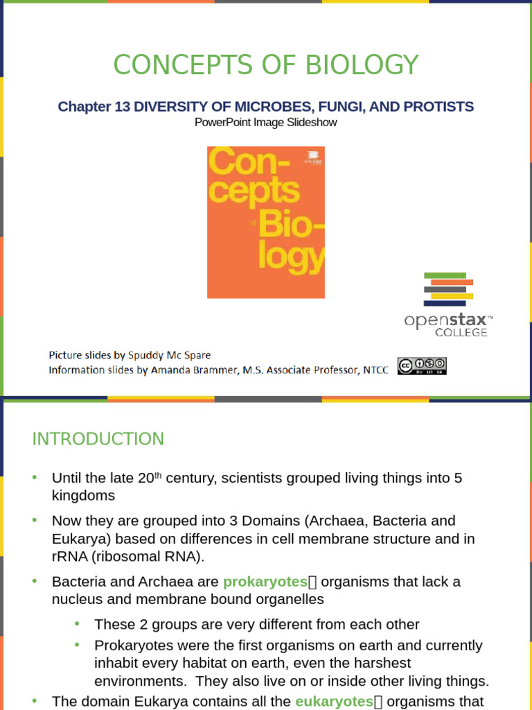 Microbial Diversity: Prokaryotes and Eukaryotes | PDF | Fungus | Bacteria