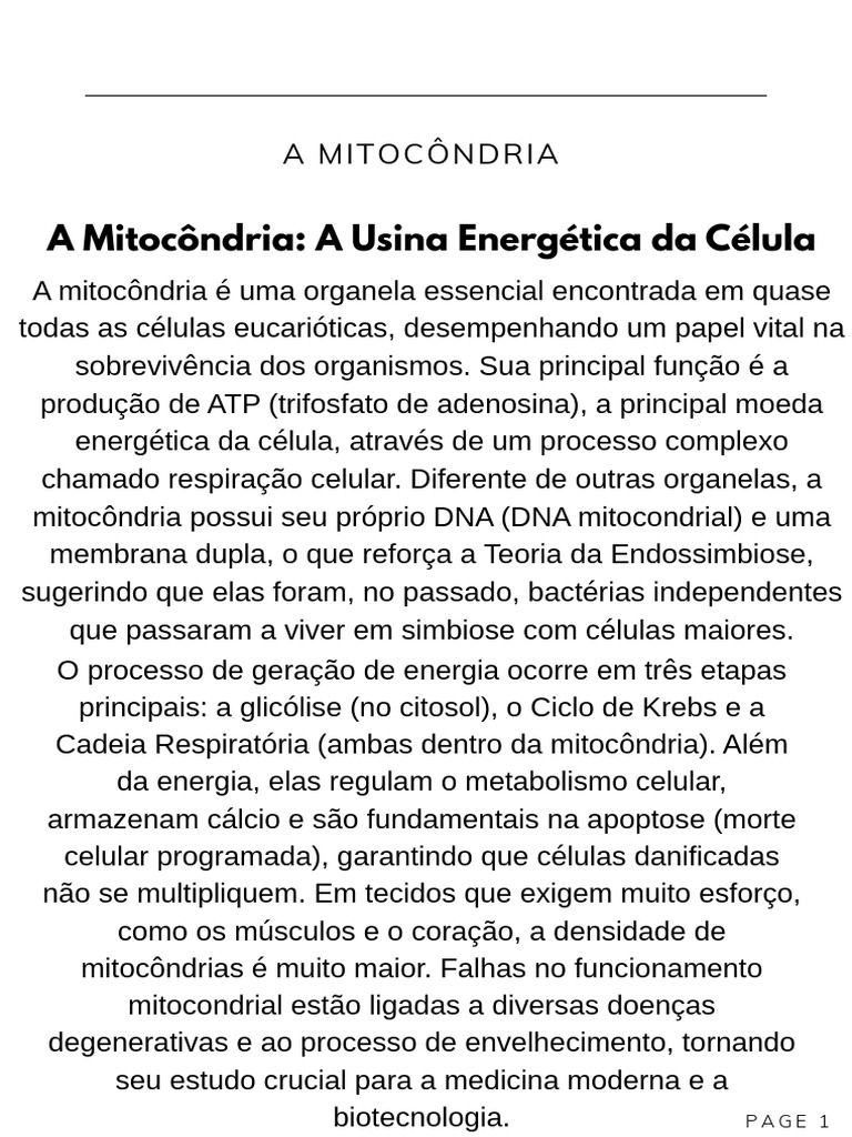 Grey Minimalist Photo Collage Fashion Magazine_20251225_212050_0000 | PDF